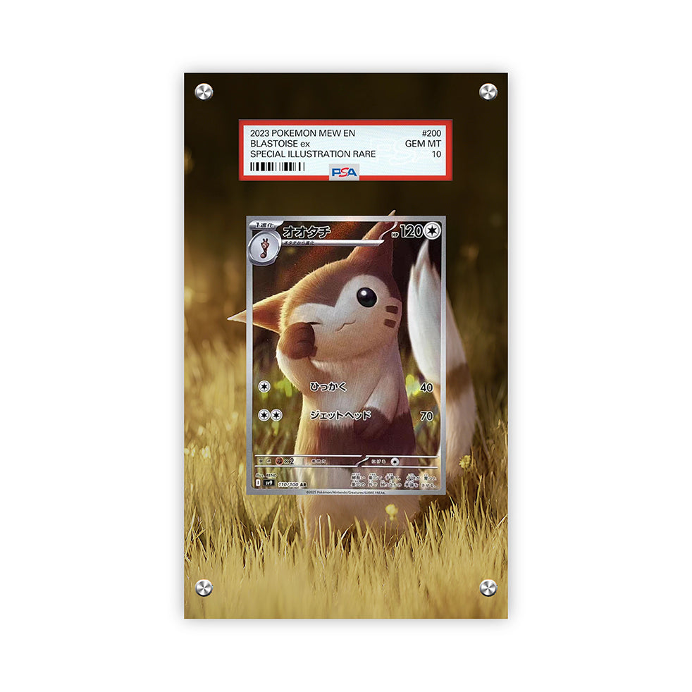 Furret 168/159 - Extended Artwork PSA Case | KamiZone